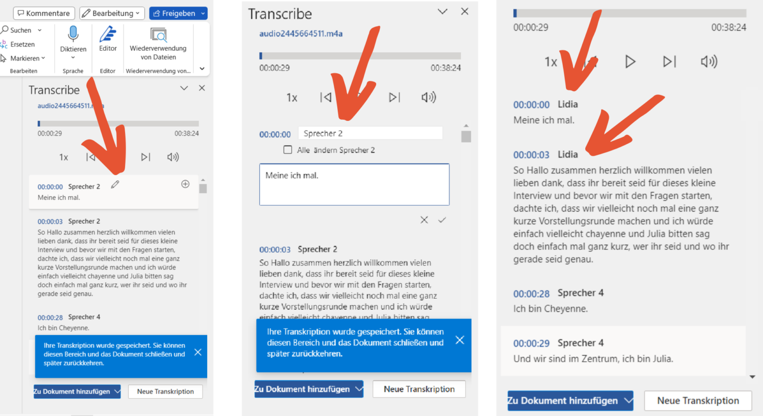 Transkripte erstellen mit Word (Office 365) – Netzwerk Inklusion mit Medien